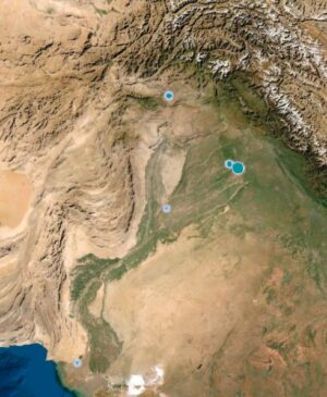 Cultural Heritage of Turks in Pakistan